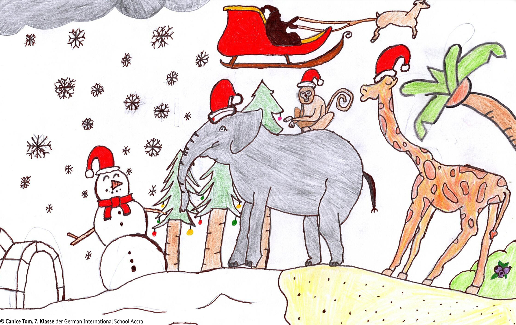 Das BfAA wünscht frohe Weihnachten und einen guten Start ins neue Jahr ...